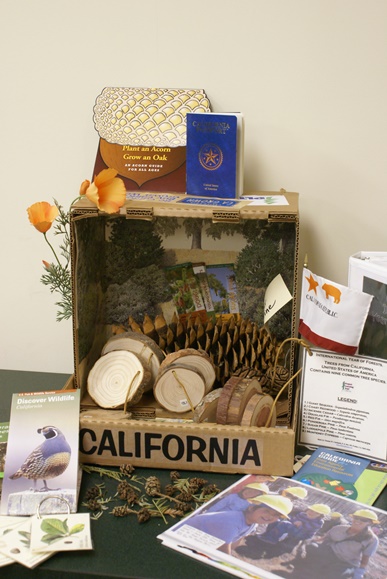 Students Across the Country Exchange Forests - Project Learning Tree