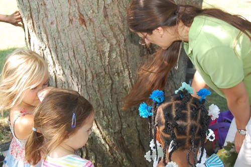 PLT Seeks K-2 Teachers to Review New Science Unit - Project Learning Tree