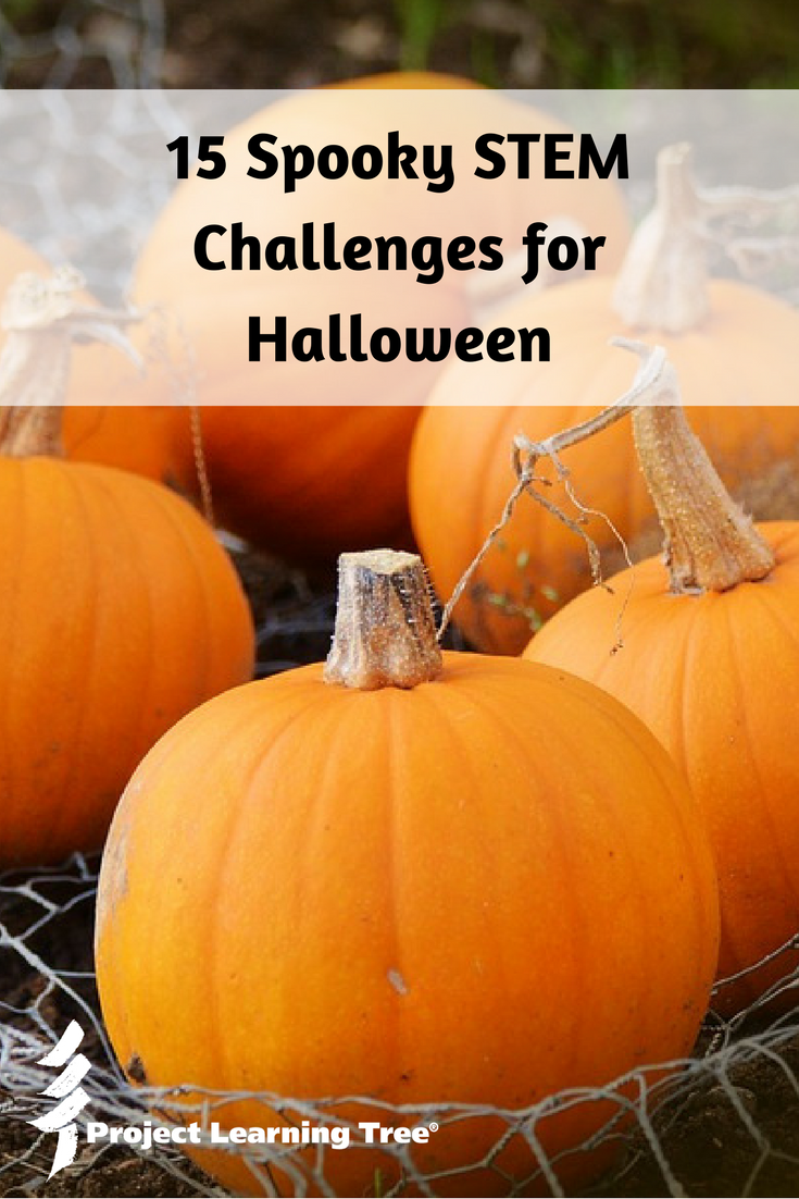 15 Spooky STEM Challenges for Halloween - Project Learning Tree