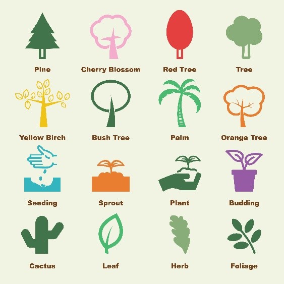 STEM: Plant a Tree - Project Learning Tree