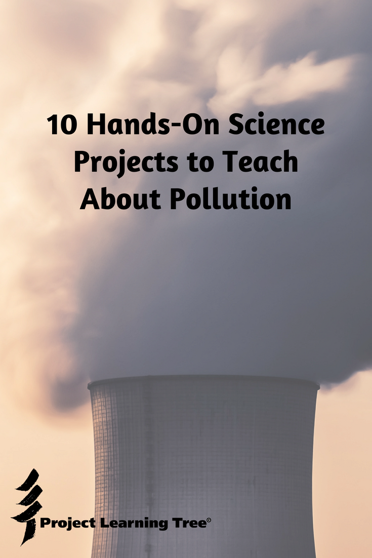 10 Hands-On Science Projects to Teach About Pollution - Project ...