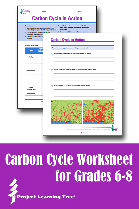 Carbon Cycle Worksheet Download - Project Learning Tree