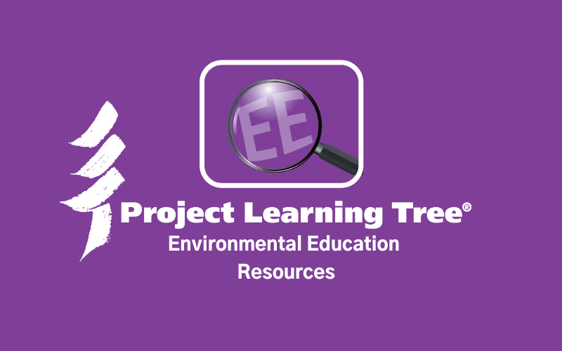 STEM Strategies - Project Learning Tree