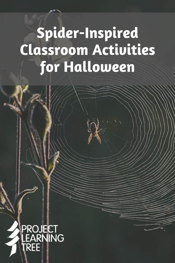 Spider-Inspired Classroom Activities for Halloween - Project Learning Tree