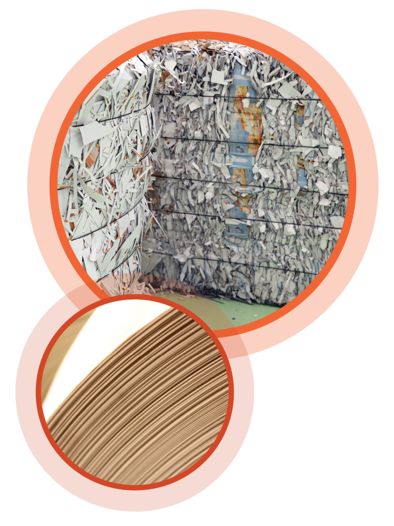 Activity: Make Your Own Paper - Project Learning Tree