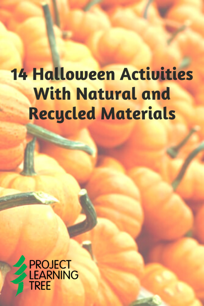 14 Halloween Activities With Natural and Recycled Materials - Project ...