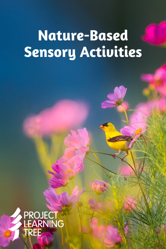 Expand Your Classroom With Nature-Based Sensory Activities - Project ...