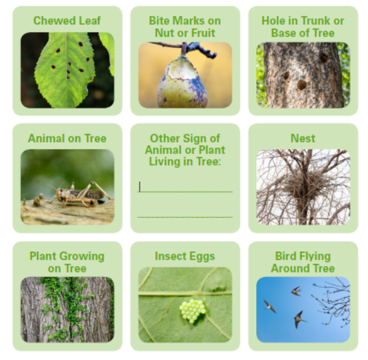 Early Childhood Education for Earth Day (and Beyond!) - Project ...