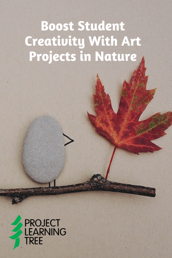 Boost Student Creativity With Art Projects in Nature - Project Learning ...