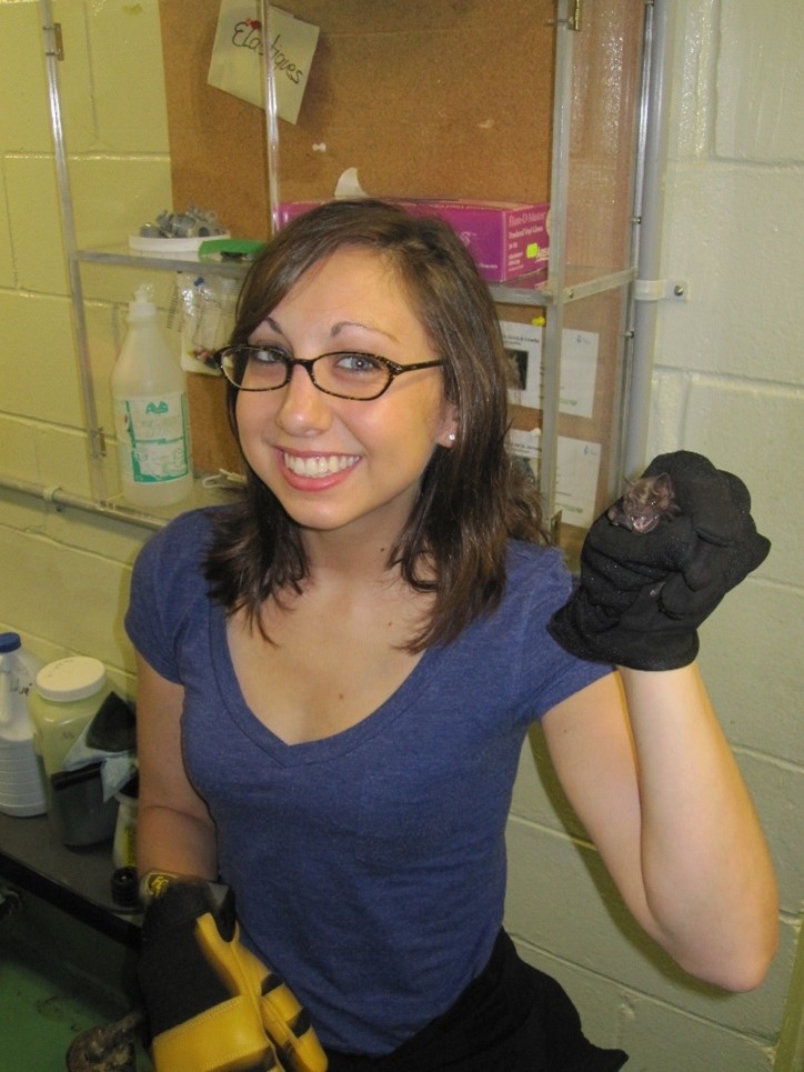 Why Forest Lovers Should Celebrate Bat Week - Project Learning Tree