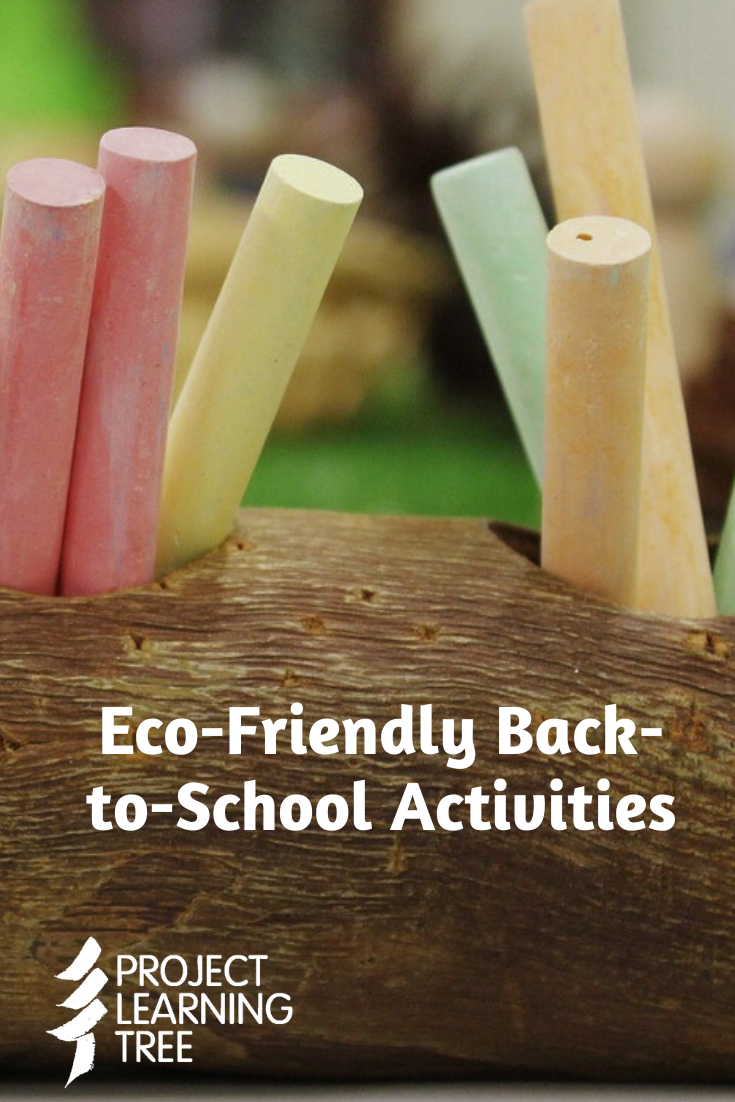 Welcome Students Back to School with These Eco-Friendly Activities ...